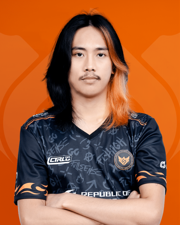 PORZANARUK - Fullsense